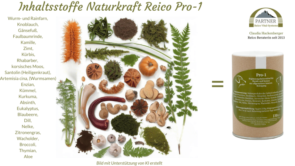 Reico Naturkraft Pro-1 - zur inneren Reinigung